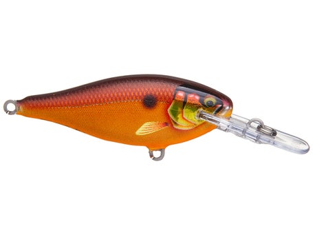 Rapala Shad Rap Elite 55 Crankbaits | Tackle Warehouse