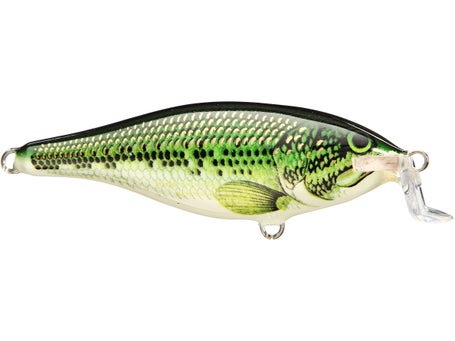 Rapala Shallow Shad Rap 7 Crankbaits | Tackle Warehouse