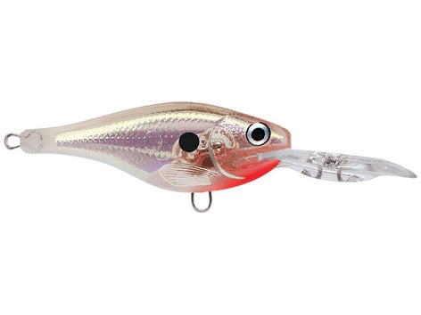 Rapala Shad Rap 7 Crankbaits | Tackle Warehouse