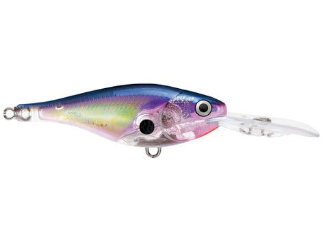 Rapala DT6 Series Crankbaits | Tackle Warehouse