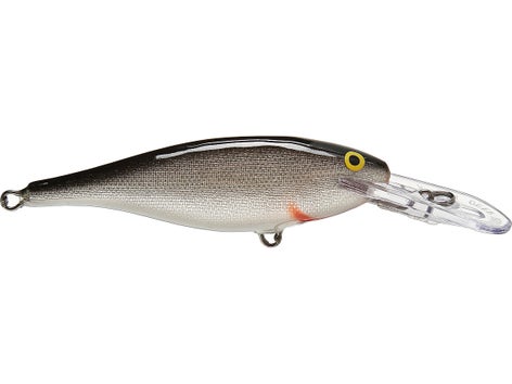 Rapala Shad Rap 7 Crankbaits | Tackle Warehouse