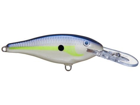 Rapala DT10 Series Crankbaits | Tackle Warehouse