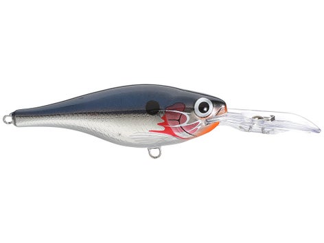 Rapala DT6 Series Crankbaits - Tackle Warehouse