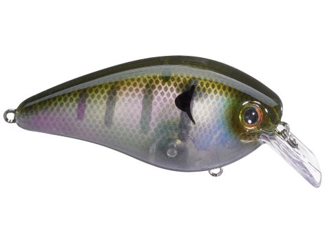 Strike King KVD Elite 2.5 Squarebill Crankbaits | Tackle Warehouse