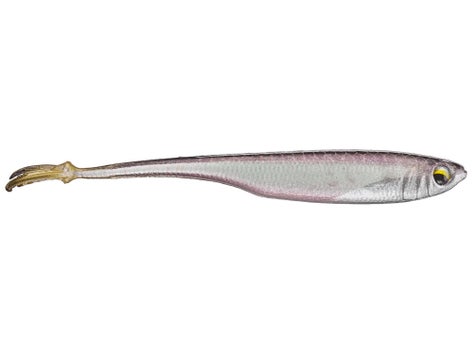 6th Sense Panorama Shad - Tackle Warehouse