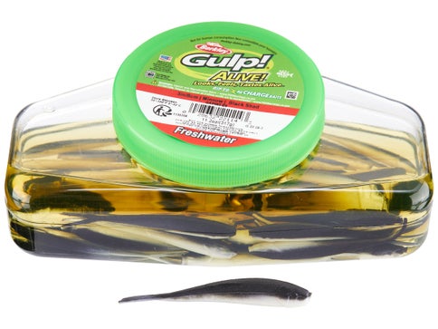 Berkley PowerBait Drip Minnow - Tackle Warehouse