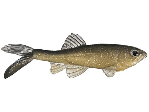 Little Creeper All American Trash Fish Swimbaits 2pk - Tackle Warehouse