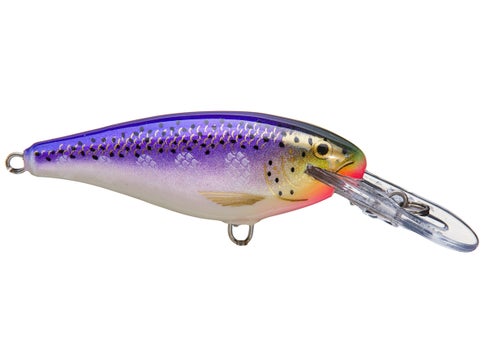 Rapala DT6 Series Crankbaits | Tackle Warehouse