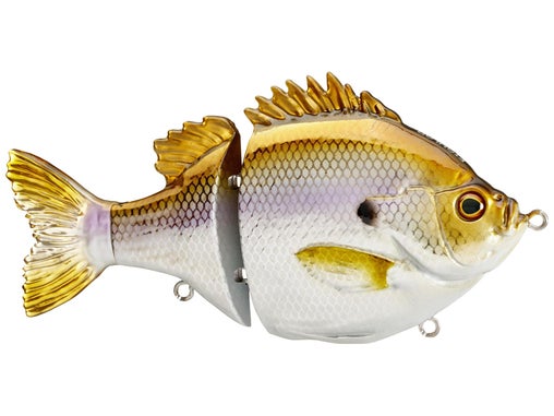 Fishlab Bio Gill Pro Glide Bait - Tackle Warehouse