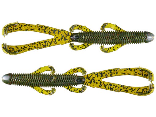Carolina Rig Gear Guide | Tackle Warehouse