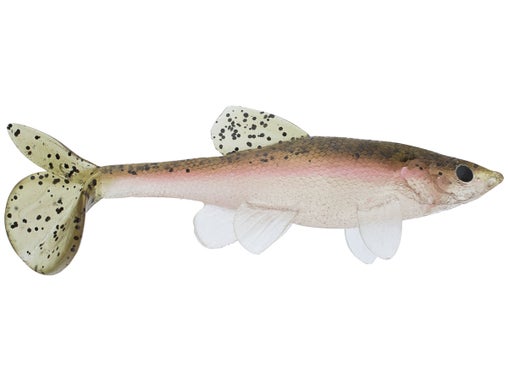 Little Creeper All American Trash Fish Swimbaits 2pk | Tackle Warehouse