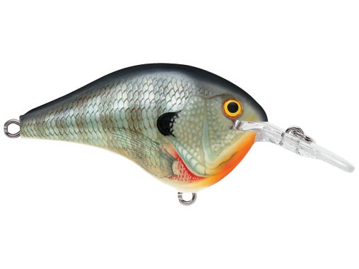 Rapala Shad Rap 7 Crankbaits | Tackle Warehouse