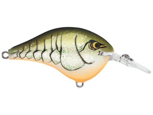 Rapala Shad Rap 5 Crankbaits - Tackle Warehouse