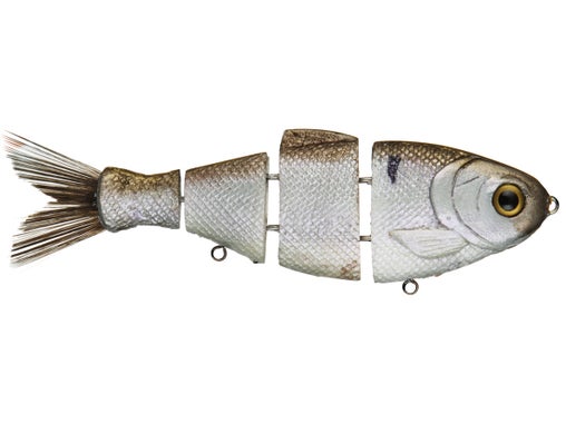 Triton Mike Bucca Bull Shad Slow Sinking Swimbait | Tackle Warehouse