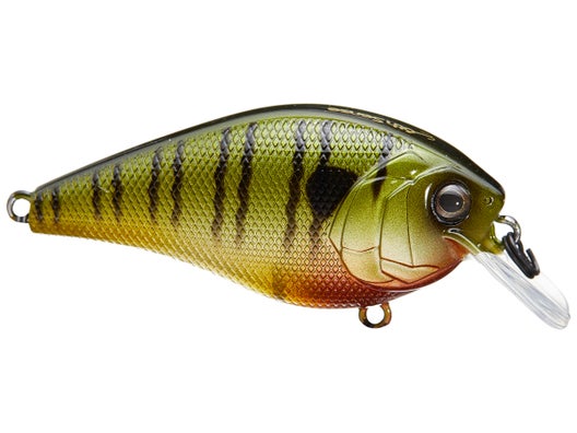 Clearance Shallow Diving Crankbaits - Tackle Warehouse