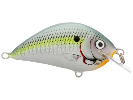 Shallow Diving Crankbaits (5' or less) - Tackle Warehouse