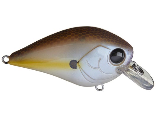 Damiki BFS Baits - Tackle Warehouse