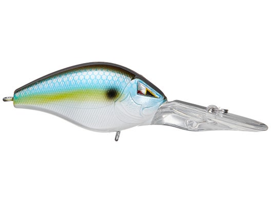 More BFS Baits!! - Tackle Warehouse