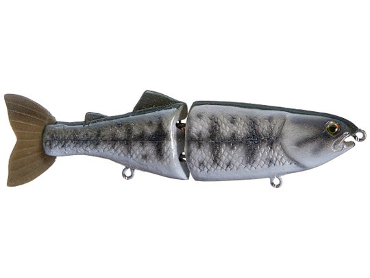 Glide Bait Gear Guide