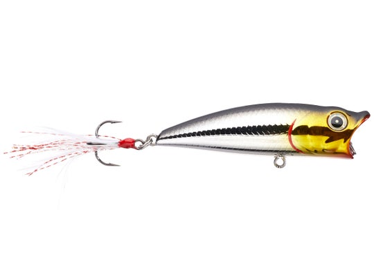 Popper Gear Guide | Tackle Warehouse