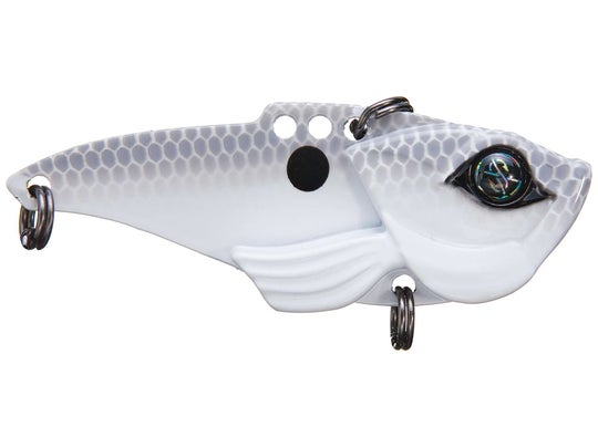 Scott Martin - Tackle Warehouse