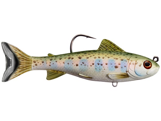 LIVETARGET Threadfin Shad Swimbait | Tackle Warehouse