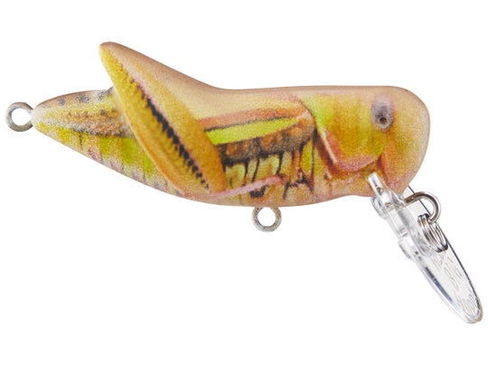 Rebel Lures Baits - Tackle Warehouse
