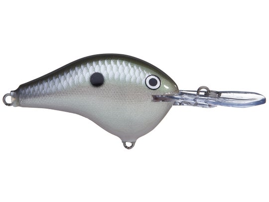 Rapala Glass Shad Rap 7 Crankbaits | Tackle Warehouse