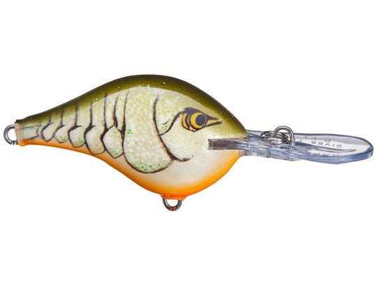 Rapala Shad Rap 7 Crankbaits | Tackle Warehouse