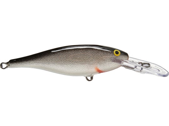 Rapala DT6 Series Crankbaits | Tackle Warehouse