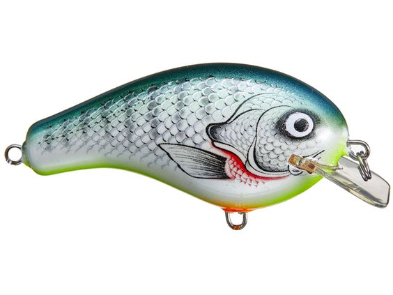 Shallow Diving Crankbaits (5' or less) - Tackle Warehouse