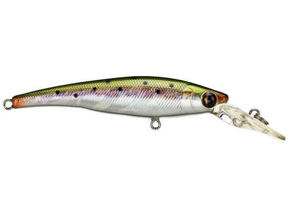 Owner - Tackle Warehouse