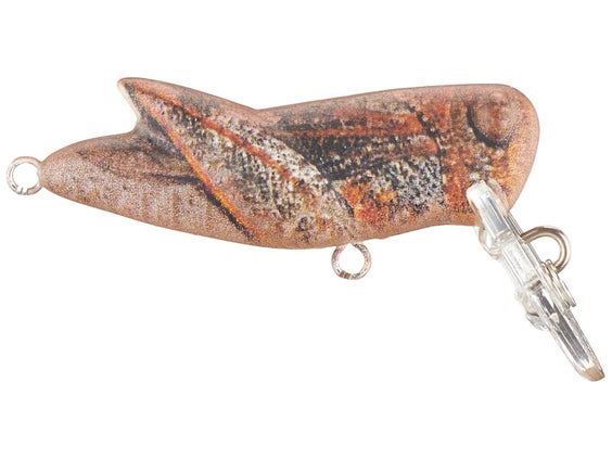 Rebel Lures Baits - Tackle Warehouse