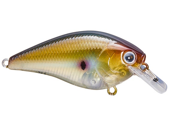 Tackle Warehouse Chop Shop Customs - Tackle Warehouse
