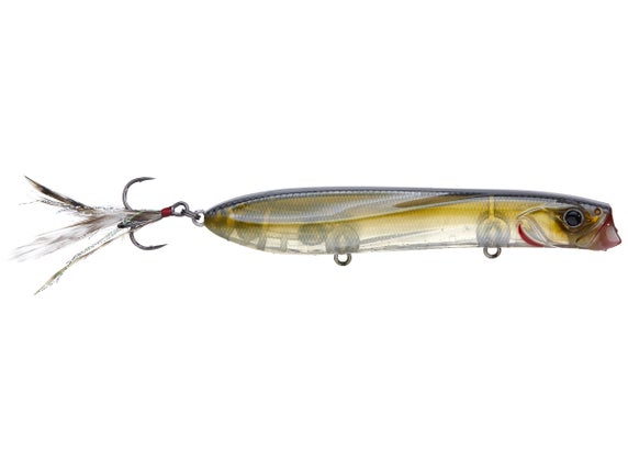 13 Fishing - Tackle Warehouse