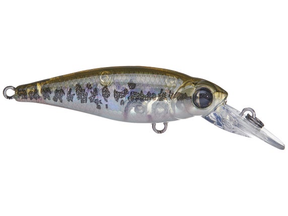 Owner - Tackle Warehouse