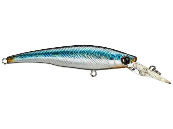 Owner - Tackle Warehouse