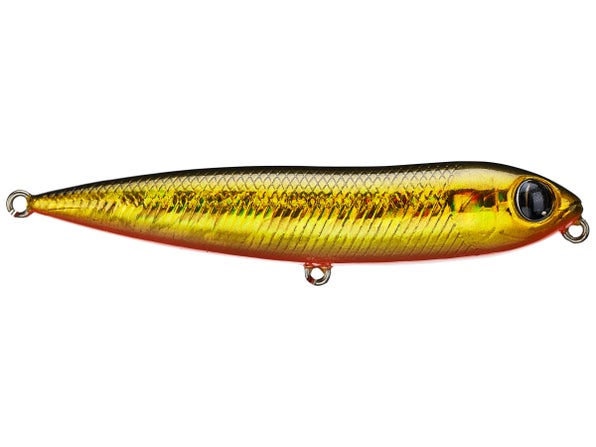 Owner - Tackle Warehouse