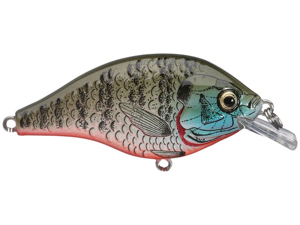 Rebel Lures - Tackle Warehouse