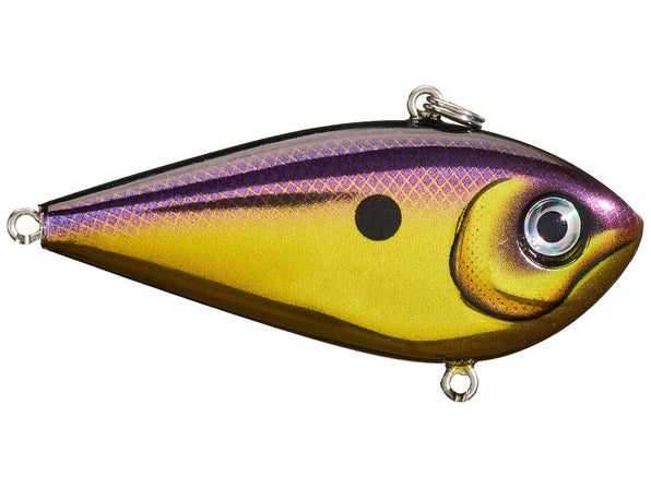 All New Rapala Releases! - Tackle Warehouse
