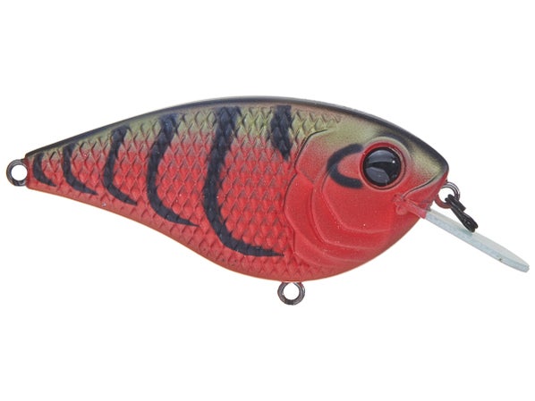 Clearance Shallow Diving Crankbaits - Tackle Warehouse