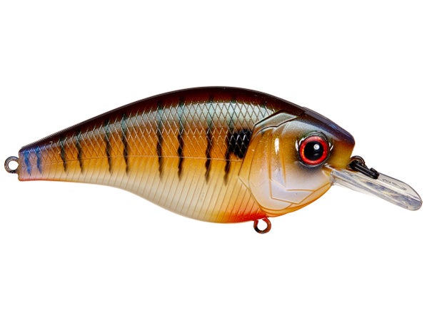 Medium Diving Crankbaits (6-10') - Tackle Warehouse