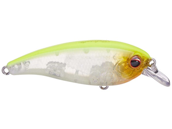 New JDM Tackle - Tackle Warehouse