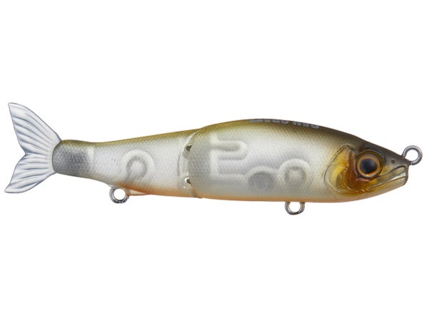 More BFS Baits!! - Tackle Warehouse