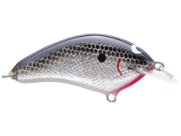 Greenfish Tackle Baits - Tackle Warehouse