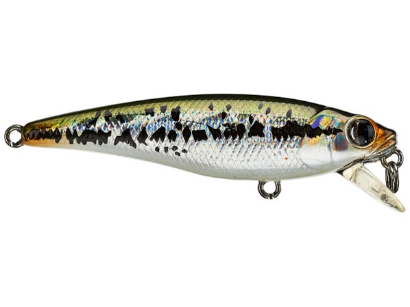 Owner - Tackle Warehouse