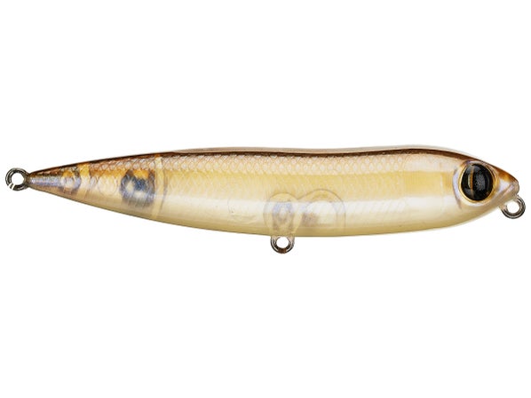 Owner - Tackle Warehouse