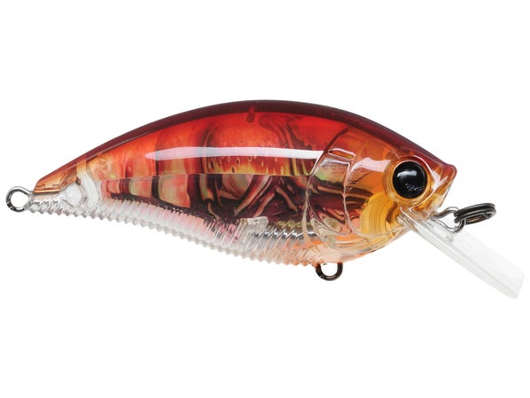 Clearance Shallow Diving Crankbaits - Tackle Warehouse