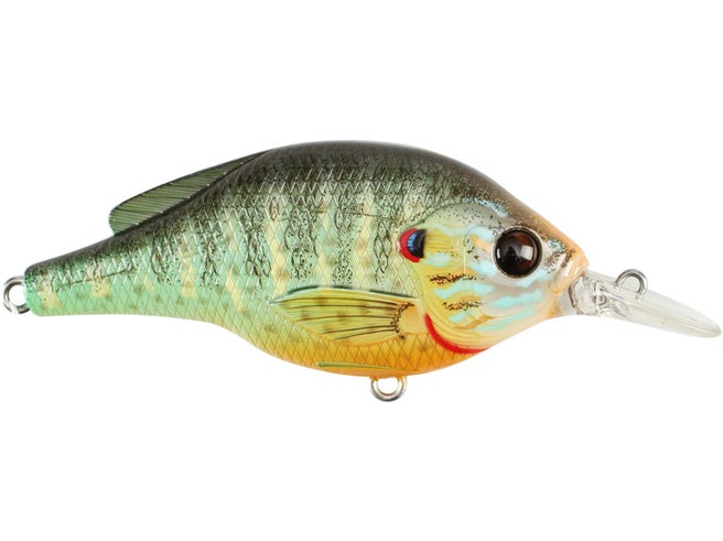 LIVETARGET Bluegill Crankbait | Tackle Warehouse