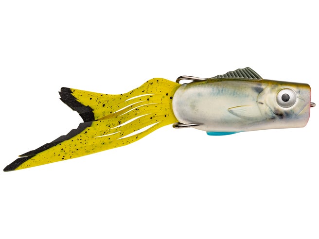 Strike King KVD Popping Perch | Tackle Warehouse